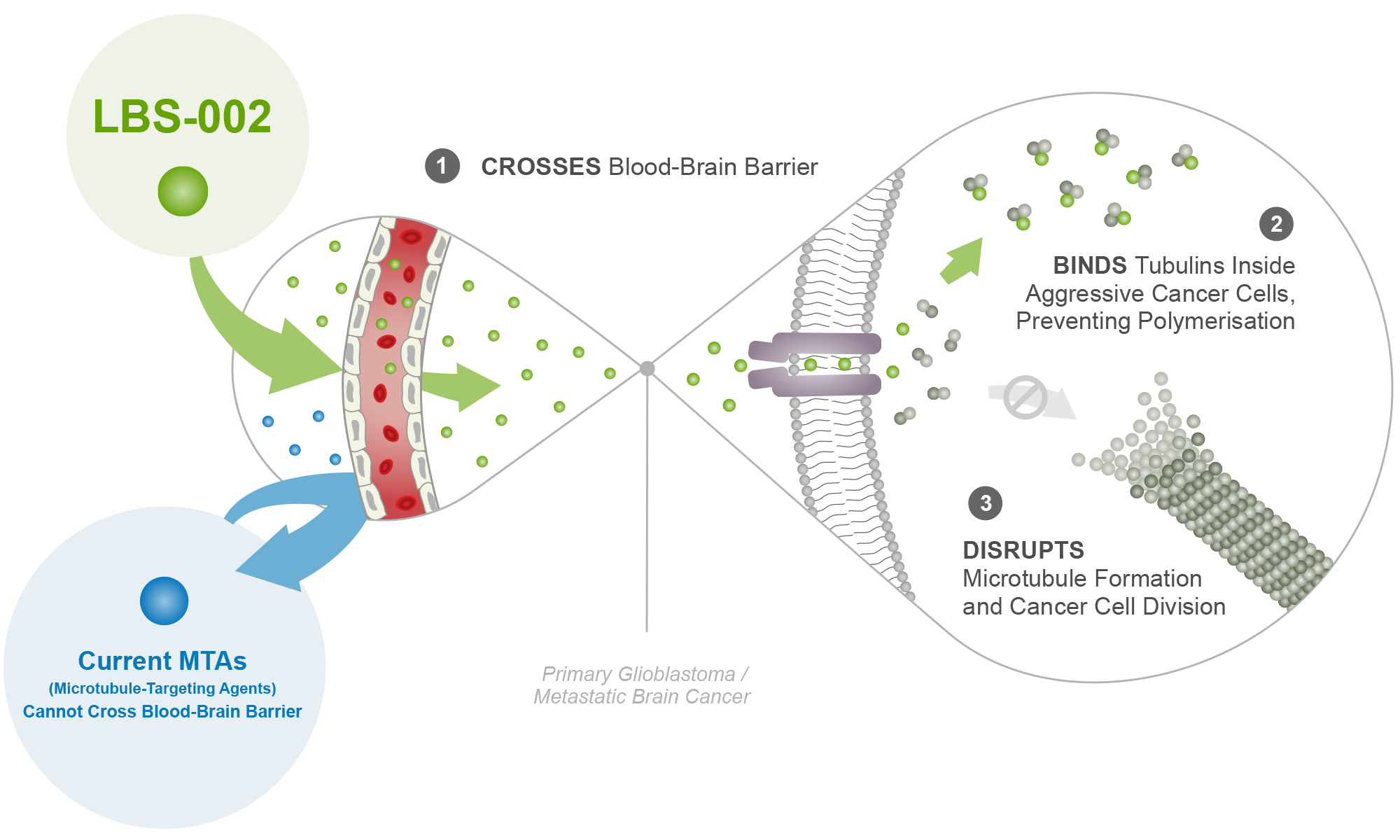 Lin BioScience, Inc.